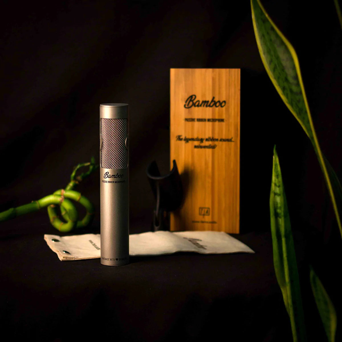 Tierra Audio Bamboo Ribbon Microphone – Oceania Audio Sales